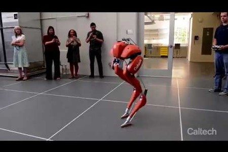 Caltech CAST Construction Timelapse - Videos - MATT Construction